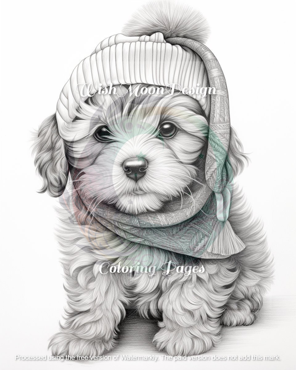 20 Winter Animals Coloring Book, Winter Wildlife, Snowflakes, Fantasy ...