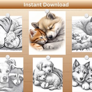 30 Animal Love Coloring Book, Cute Animals, Realistic Wildlife, Instant ...