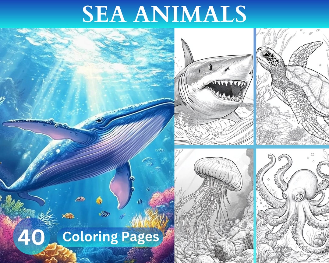40 Sea Animals Coloring Book, Marine Life, Ocean Creatures, Grayscale ...