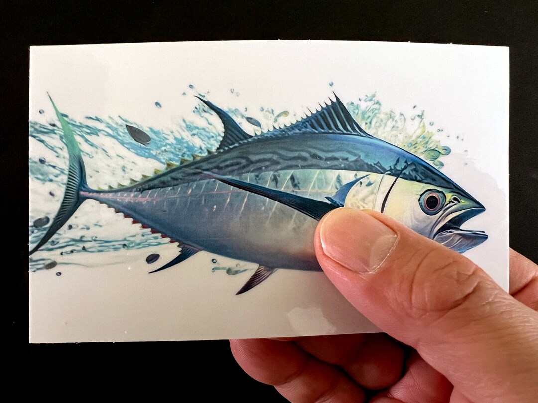 False Albacore Sticker Unique Gift for Men Fishing Enthusiasts - Free ...