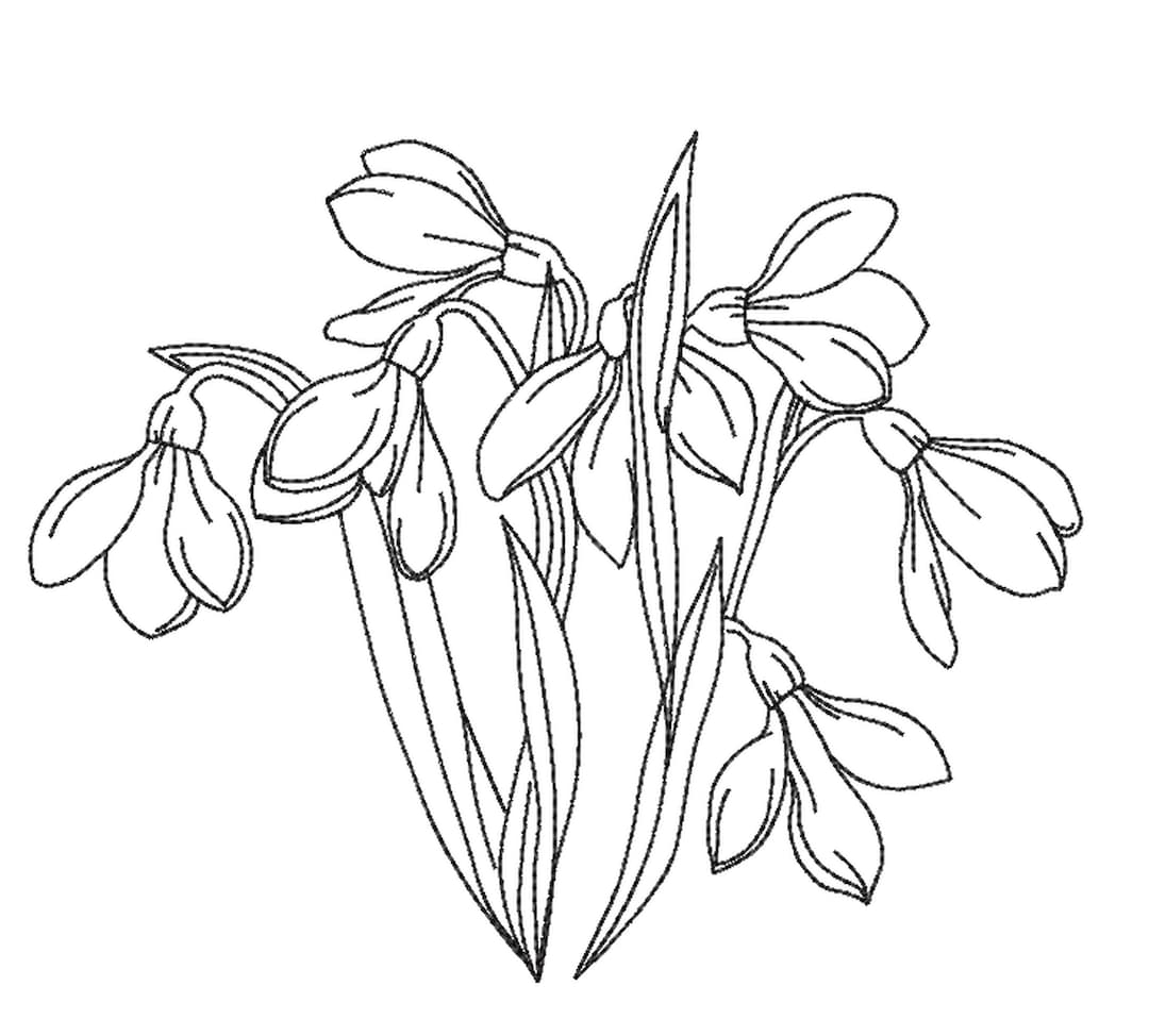 Snowdrop Flower Machine Embroidery Design , 4 Sizes, Instant Download ...