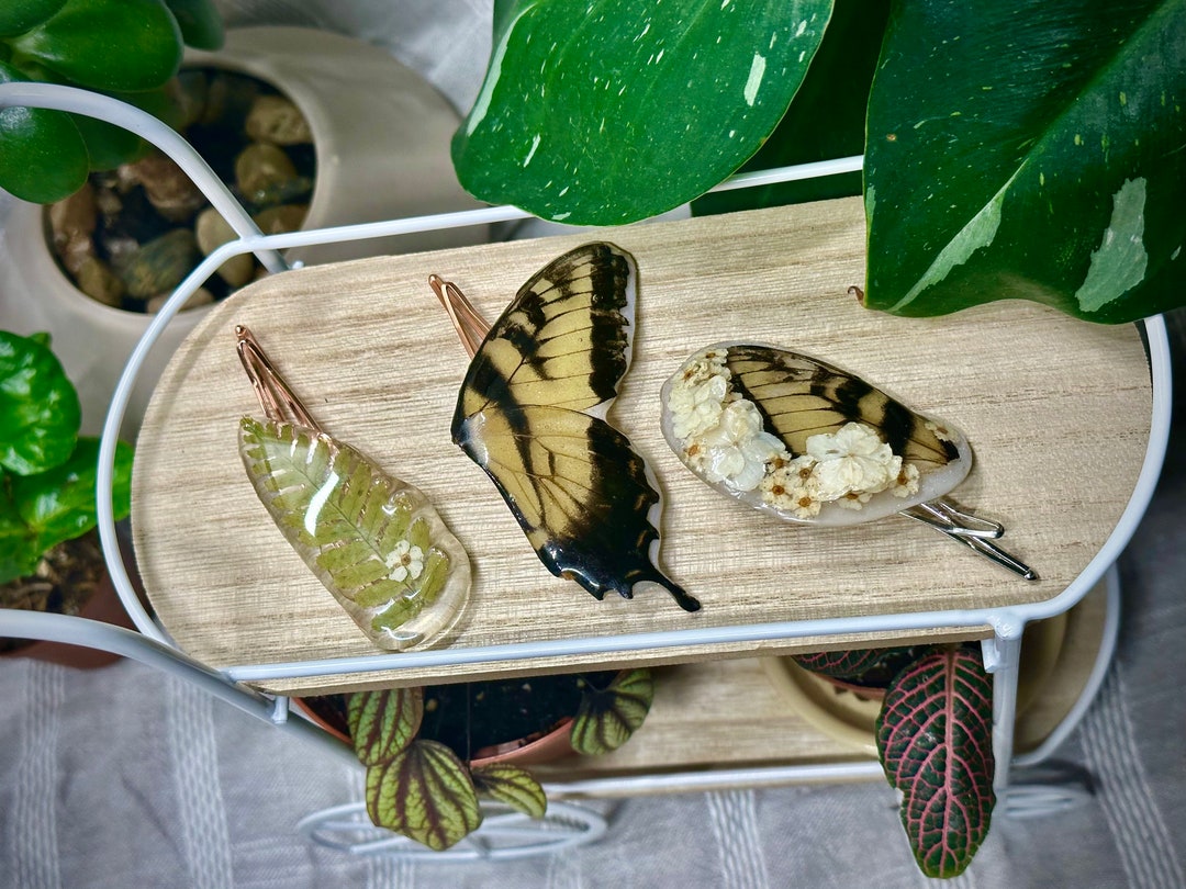 Butterfly Wing Hair Pins. Real Butterfly Wings Preserved in Resin. - Etsy
