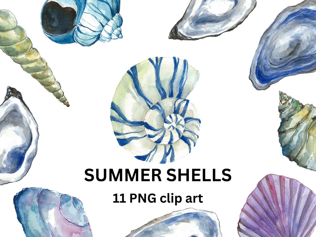 Watercolor Seashells, Summer Clipart, Beach Clipart, Ocean Shells ...