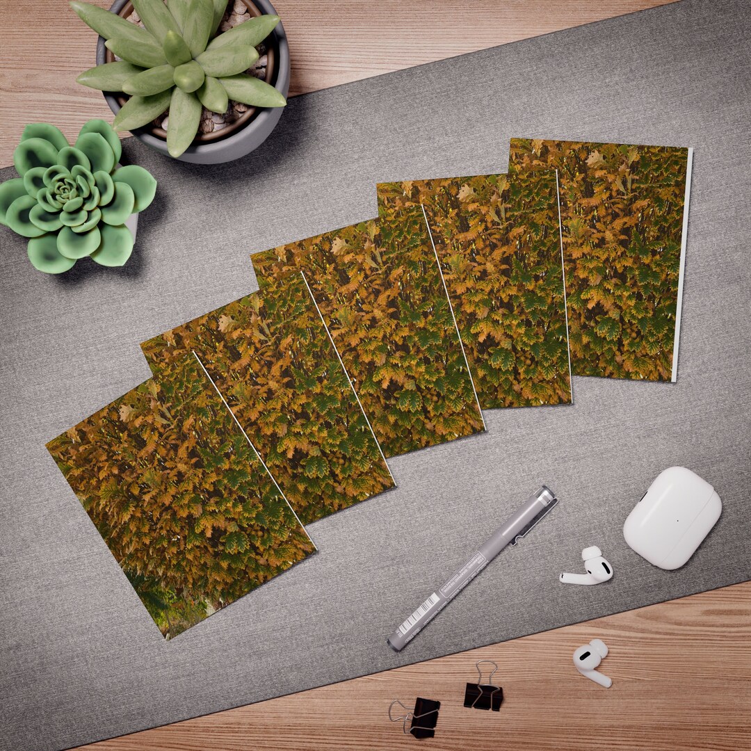 Design Greeting Cards 5-pack - Etsy