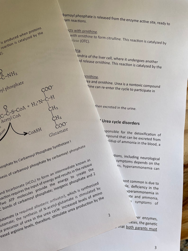 Comprehensive Urea Cycle Notes - Study Aid - Etsy