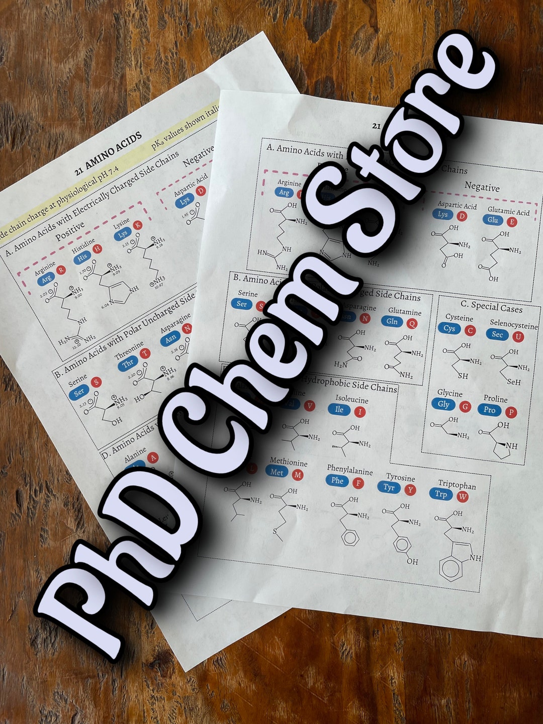 Biochemistry Amino Acids Reference Sheets - Etsy