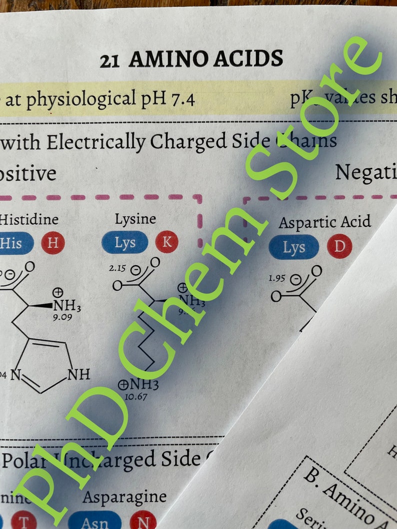 Biochemistry Amino Acids Reference Sheets - Etsy
