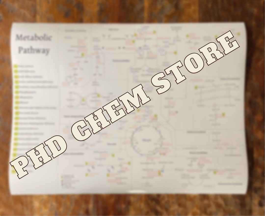 Biochemistry: Metabolic Pathway Poster - Etsy