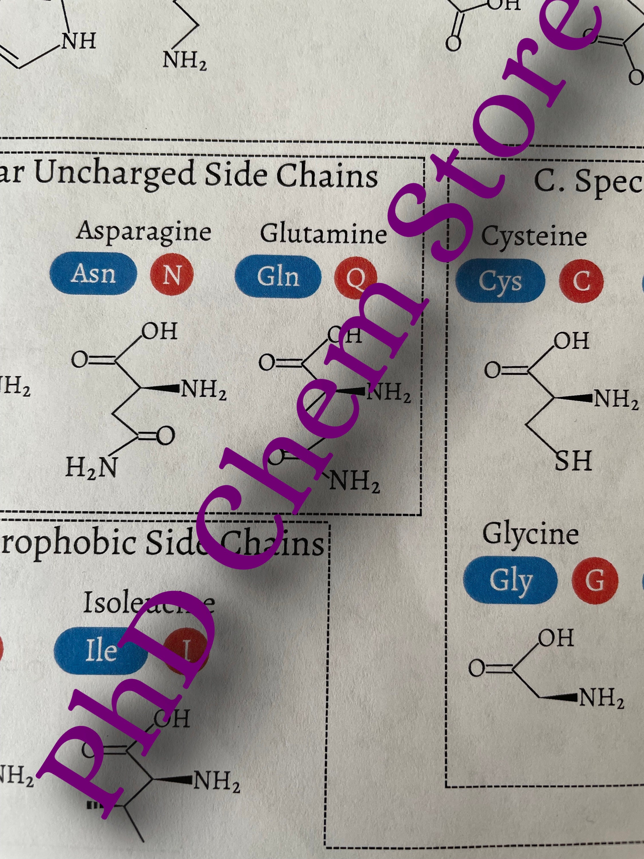Biochemistry Amino Acids Reference Sheets - Etsy
