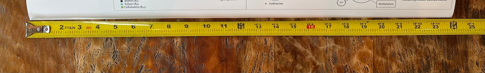 Biochemistry: Metabolic Pathway Poster - Etsy