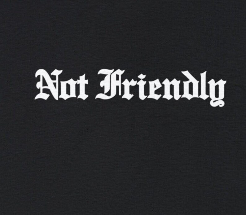 Not Friendly Tee, Old English, Dark Funny, Store Bought, Gift for Him ...