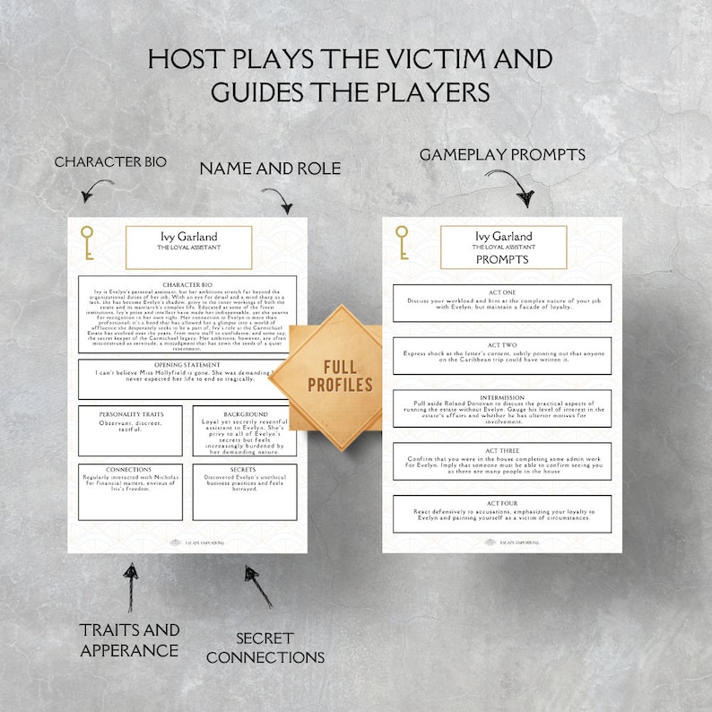 Murder Mystery Game | Murder Mystery Party | Unsolved Cold Case Diy ...