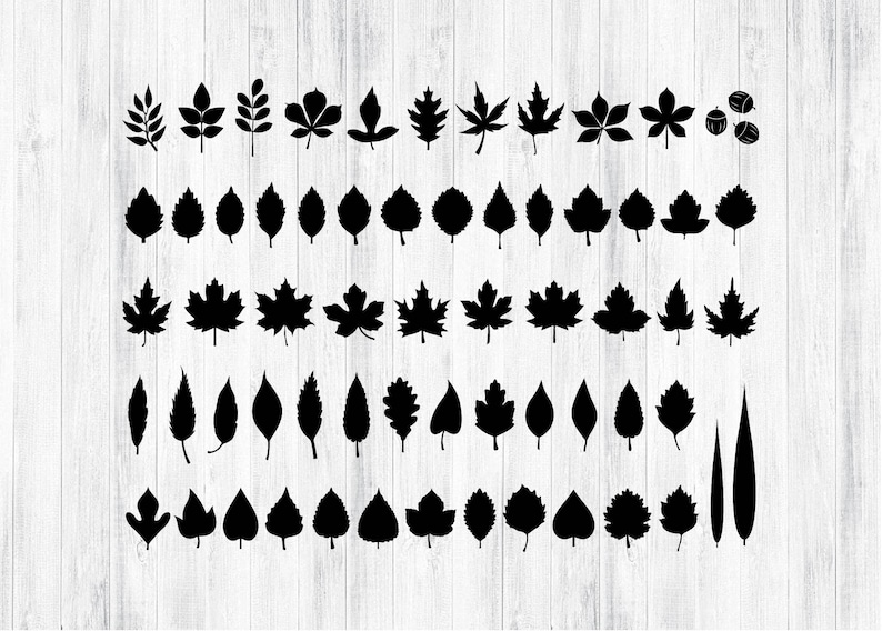 Feuilles Bundle Svg feuille modèle Svg automne Clipart Svg - Etsy France