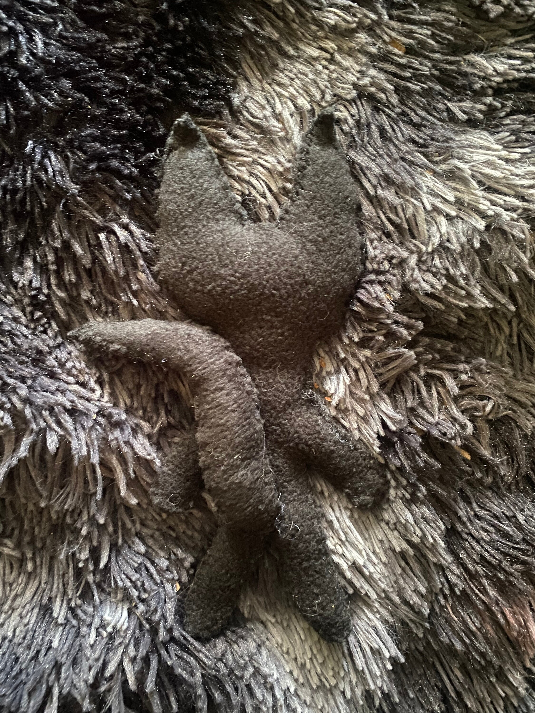 Plip the Black Kitty Friend - Etsy