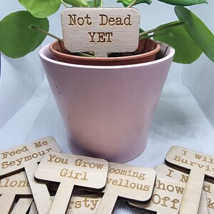 House Plant Stakes, Wooden Plant Markers Funny Quotes, Gift for ...