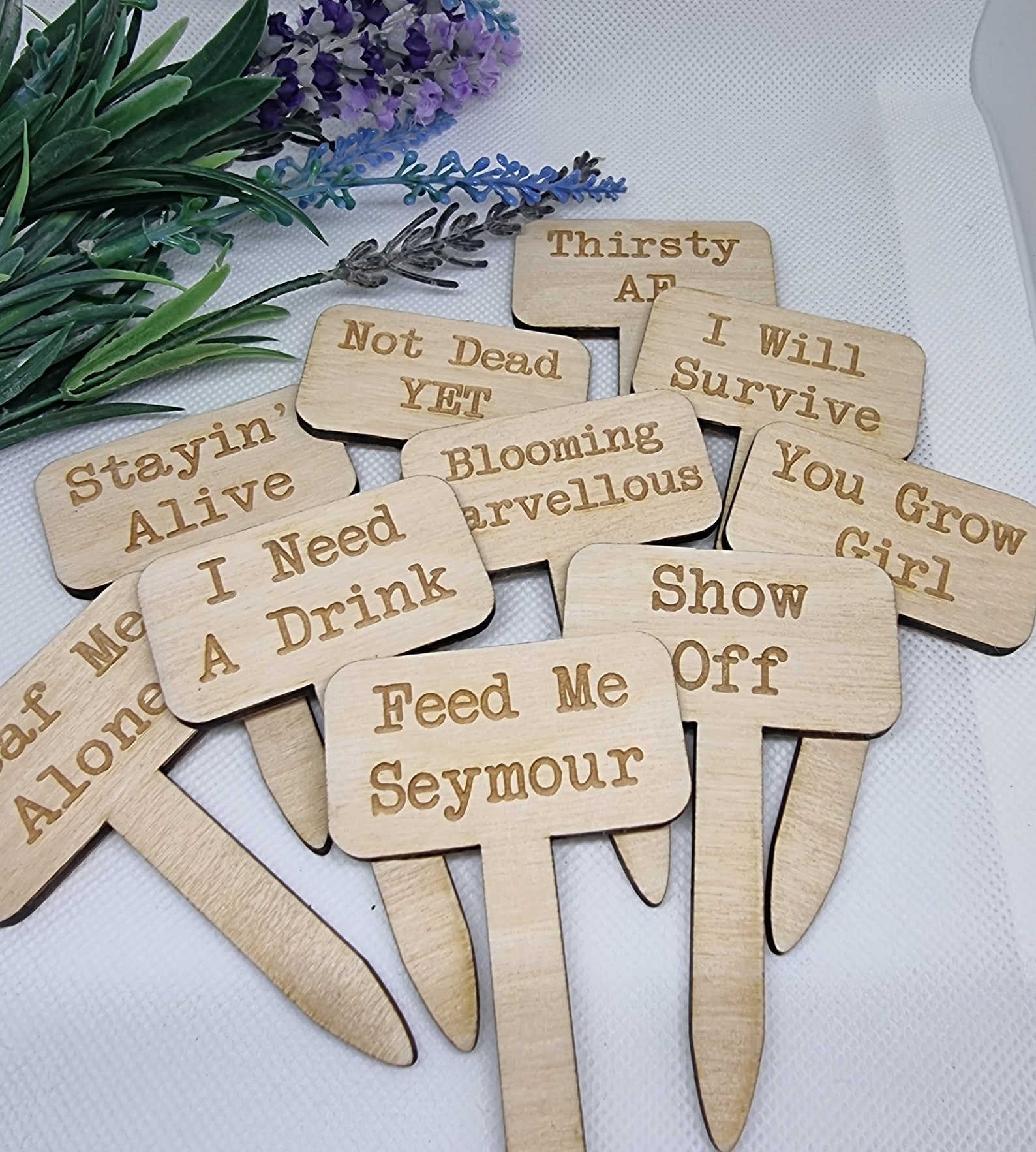 House Plant Stakes, Wooden Plant Markers Funny Quotes, Gift for ...