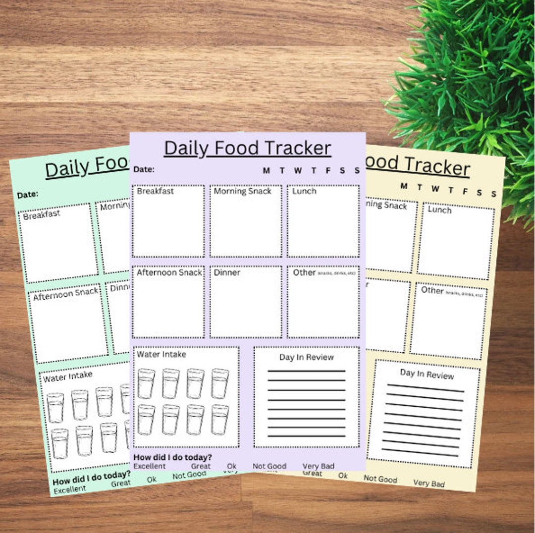 My Daily Food Diary 90 Pages - Etsy