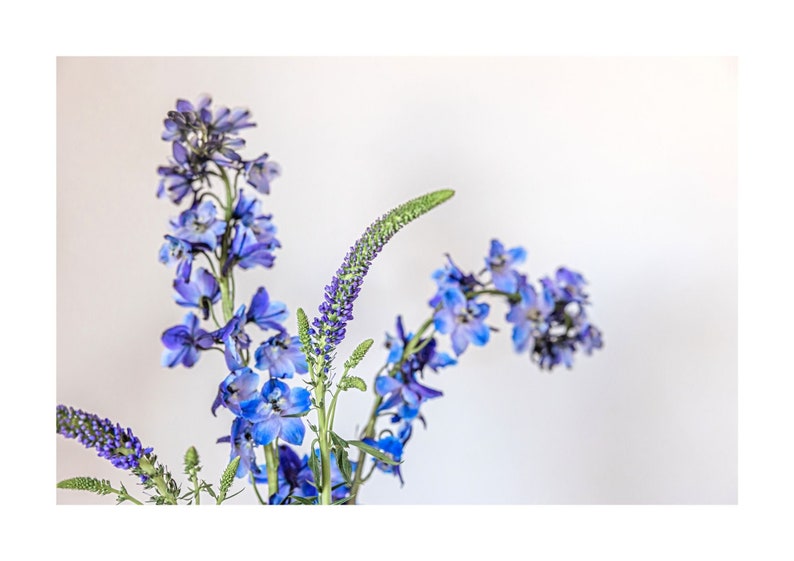 2024 Calendar, Neutral Minimalist Flower Photos 2024 Calendar - Etsy