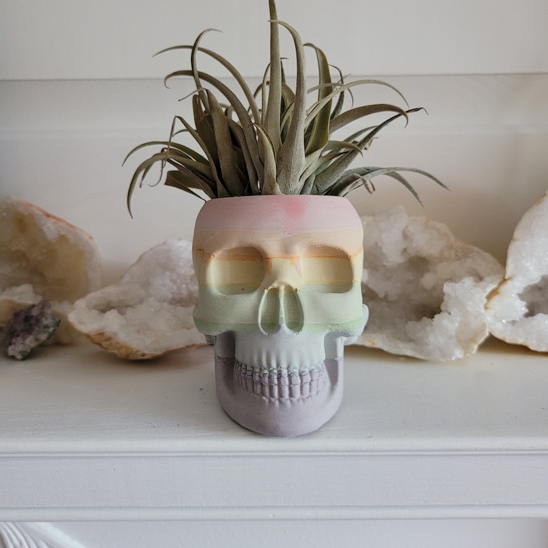 Skull Planter - Etsy
