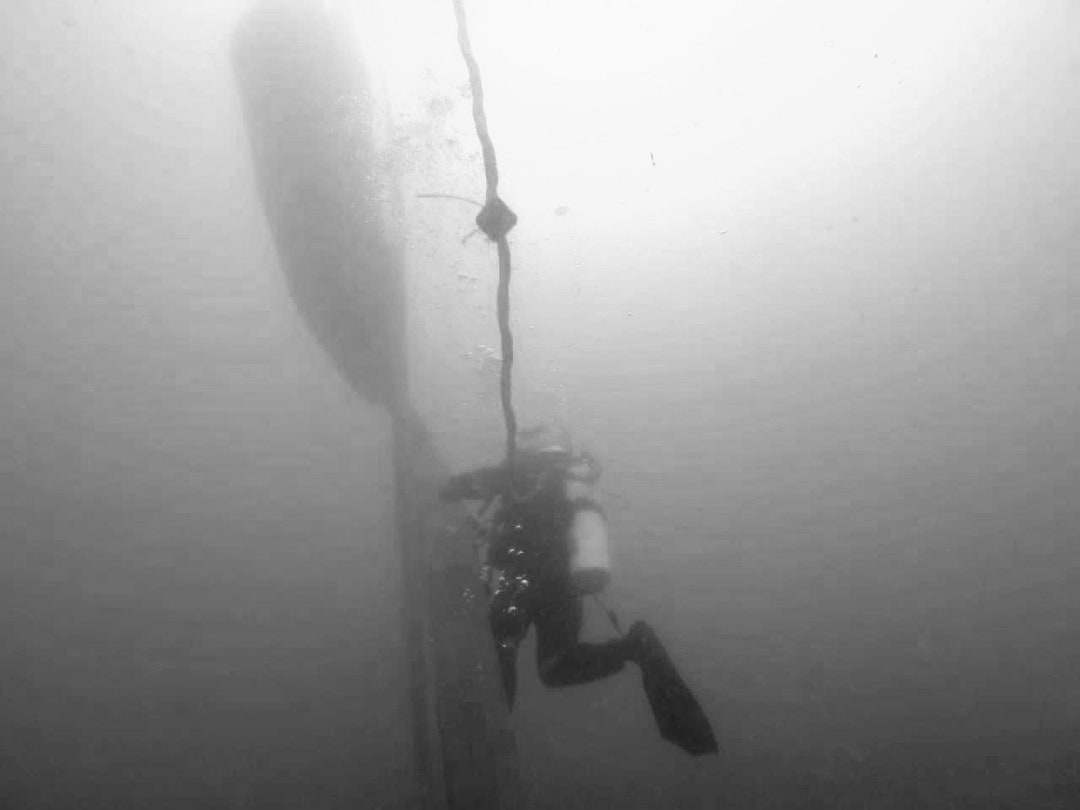 Working Diver - Etsy