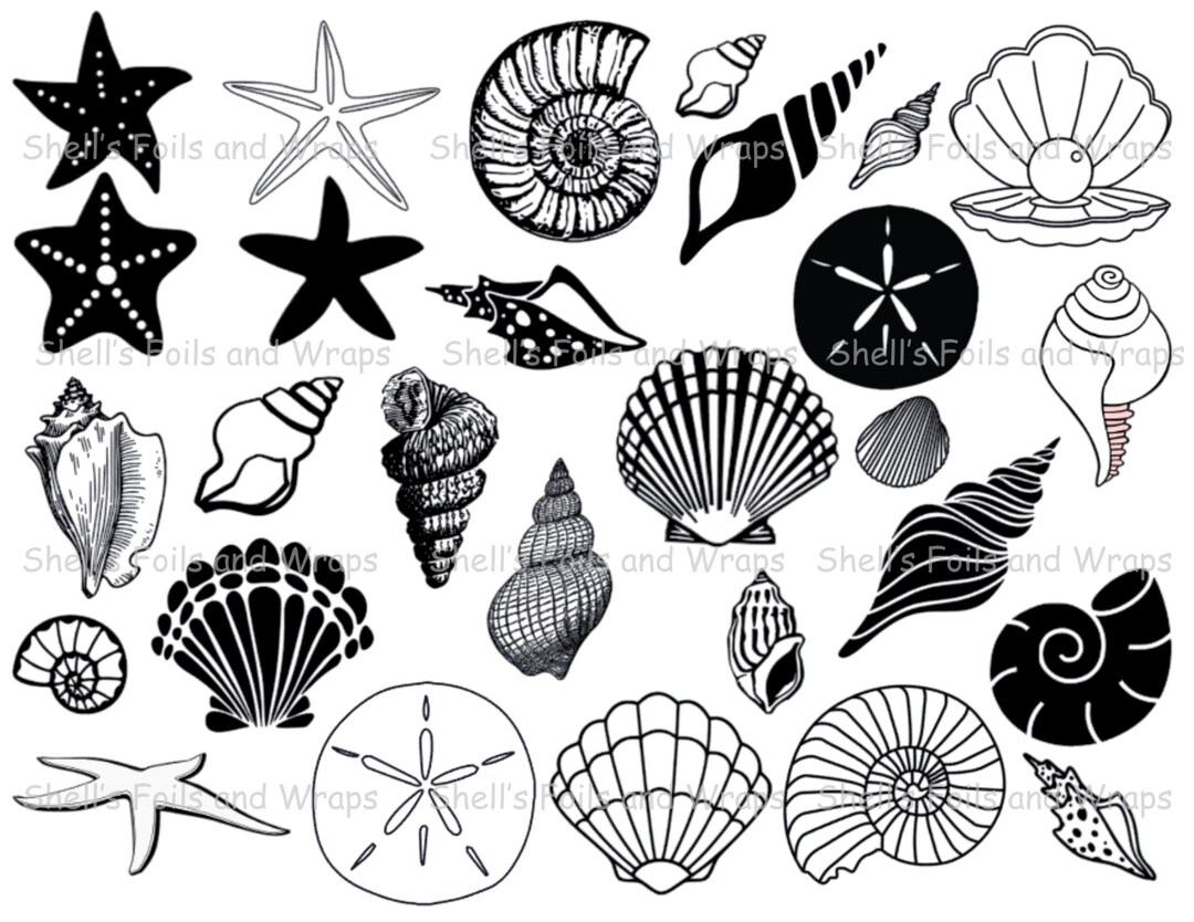 Seashells Foil Sheet 8.5x11 for Resin Art Supplies - Etsy