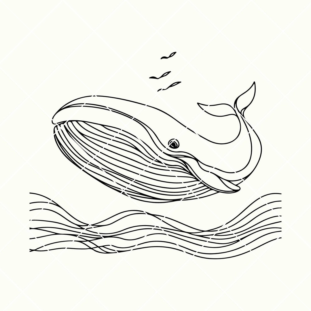 One Line Drawing, Whale Svg, Whale Clipart, One Line Art Whale, Svg ...