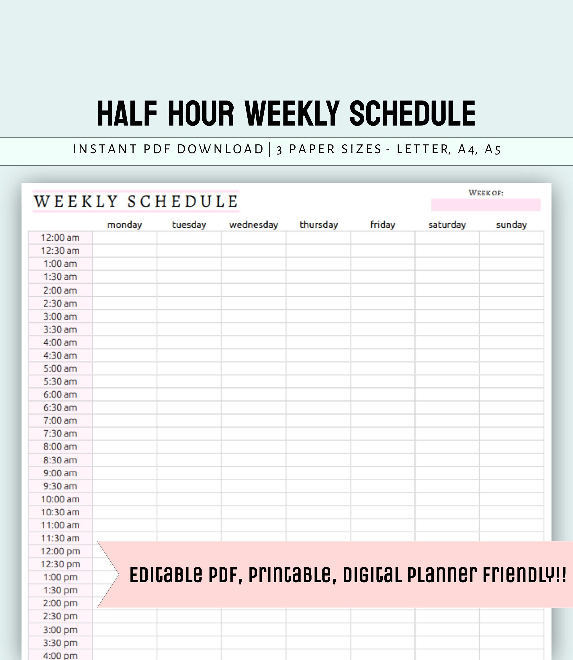 24 Hour 30-minute Weekly Planner, Digital Download, Time Blocking ...