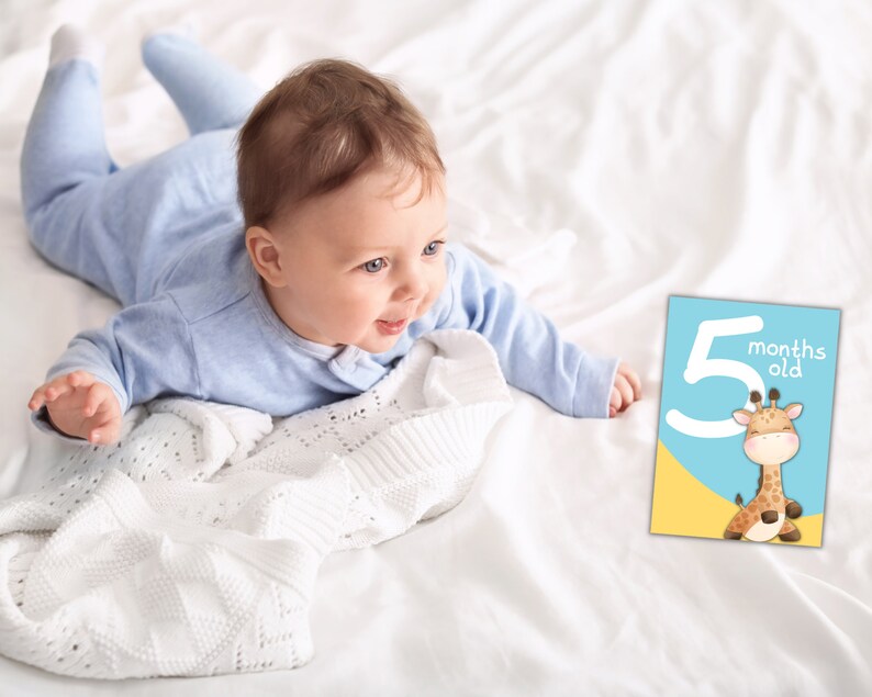 Printable Baby Milestone Cards for Baby Boy, Blue Animal Theme, Baby ...