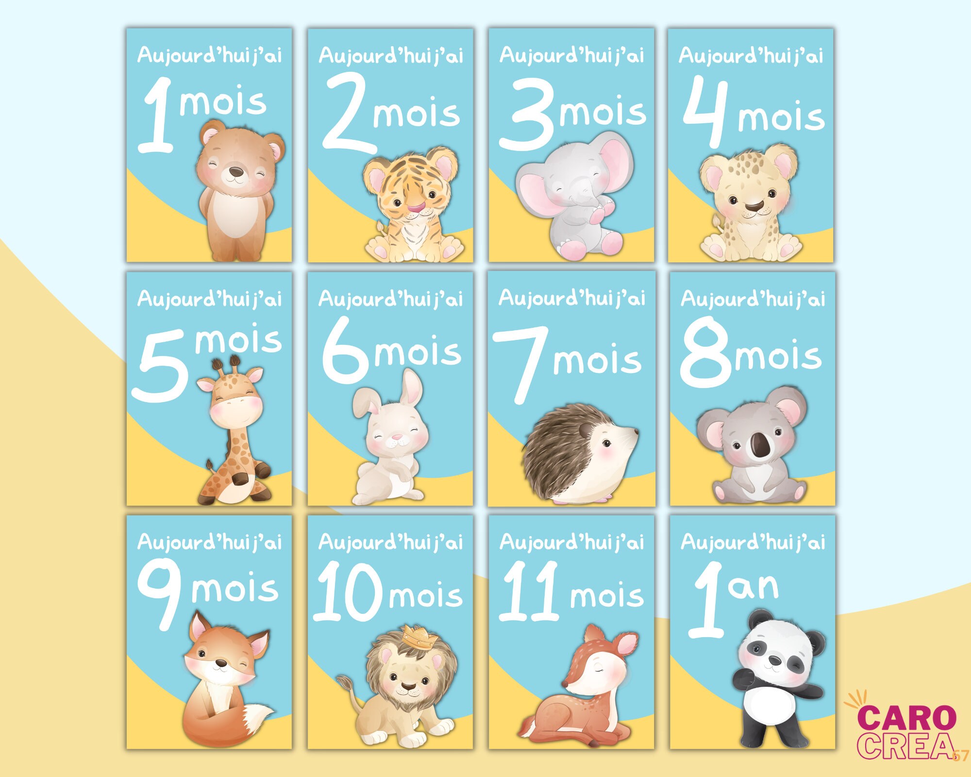 Baby Milestone Cards, PDF to Download With 12 Cards to Print, Blue and ...