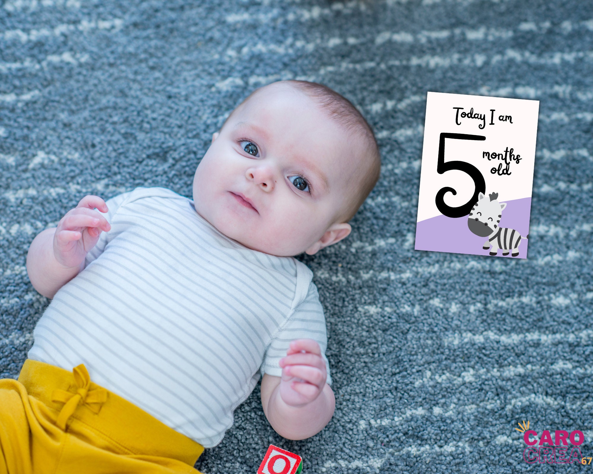 Printable Baby Milestone Cards, Animals Theme, Baby First Year, Pdf to ...