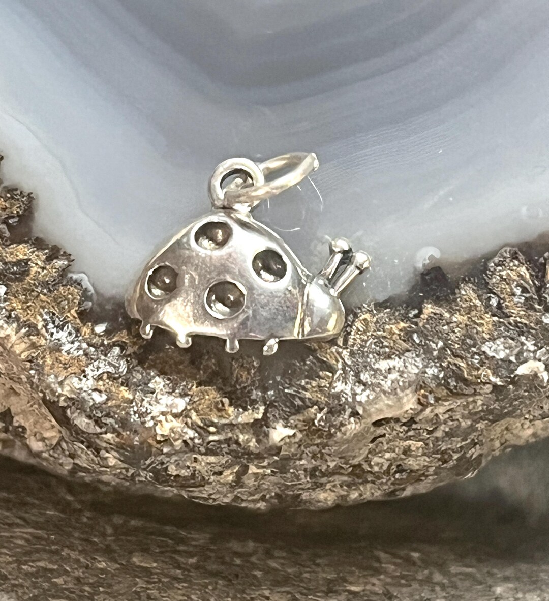 Sterling Ladybug Charm, Silver Ladybug Charm, Sterling Gardening Charm ...