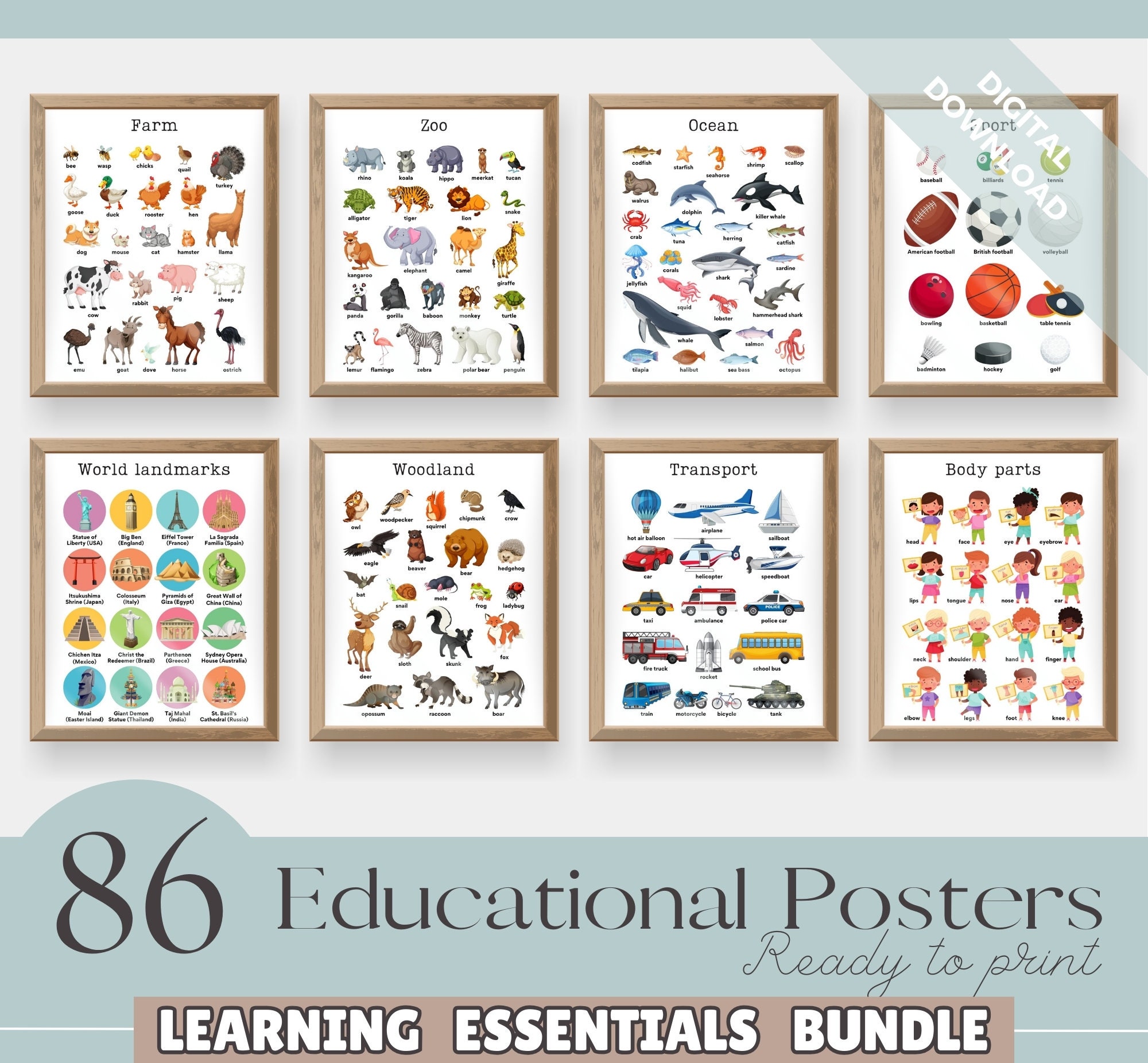 Classroom Must Haves 16 Educational Postes Fo Toddles, Laminated ...