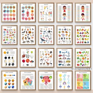 Set of 101 Educational Posters, Colourful Homeschool Learning Prints ...