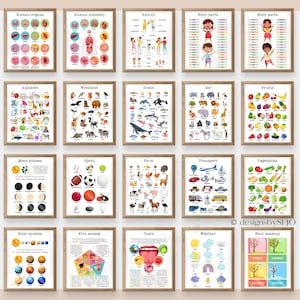 Set of 101 Educational Posters, Colourful Homeschool Learning Prints ...