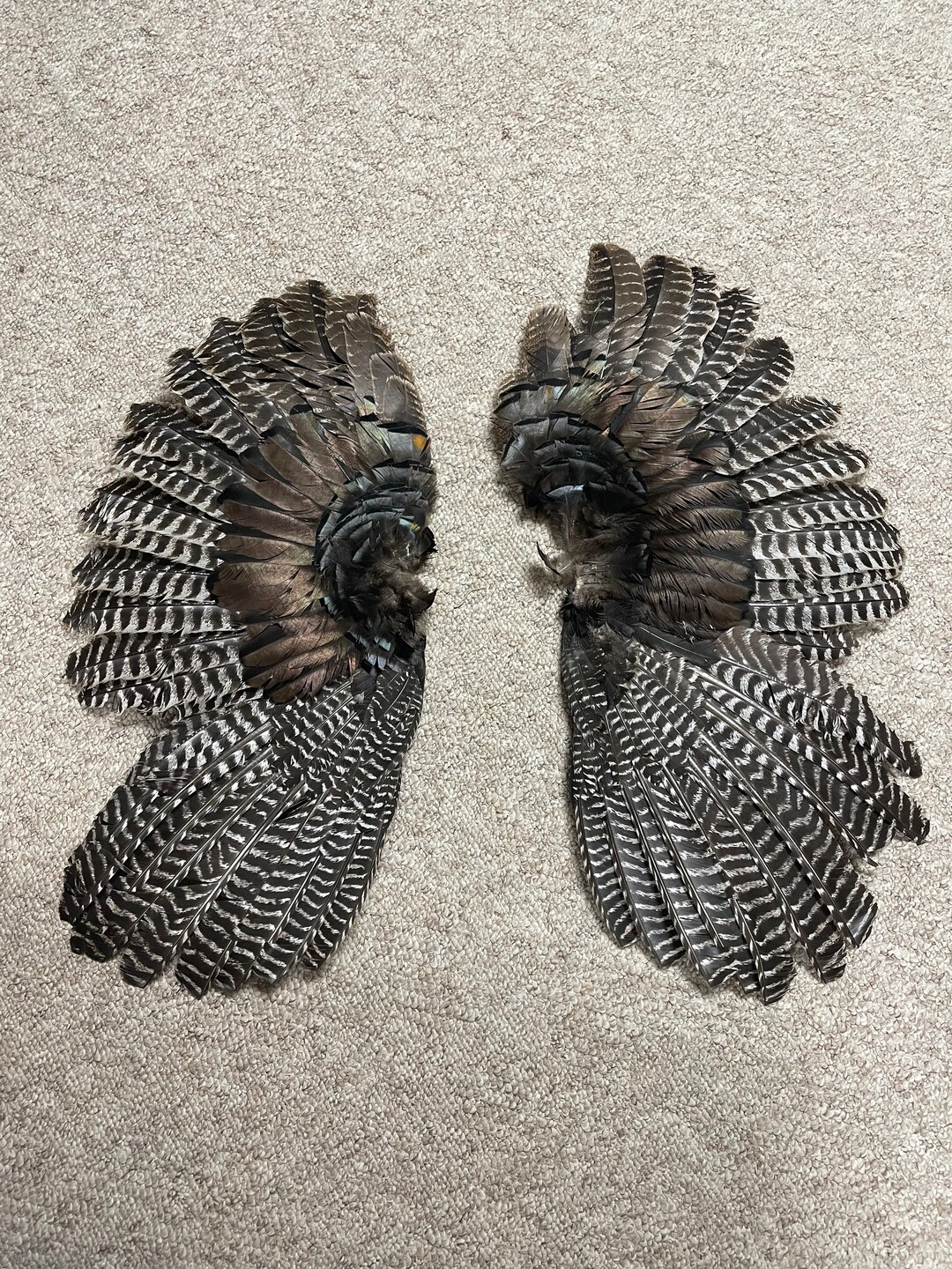 Wild Turkey Wings - Etsy