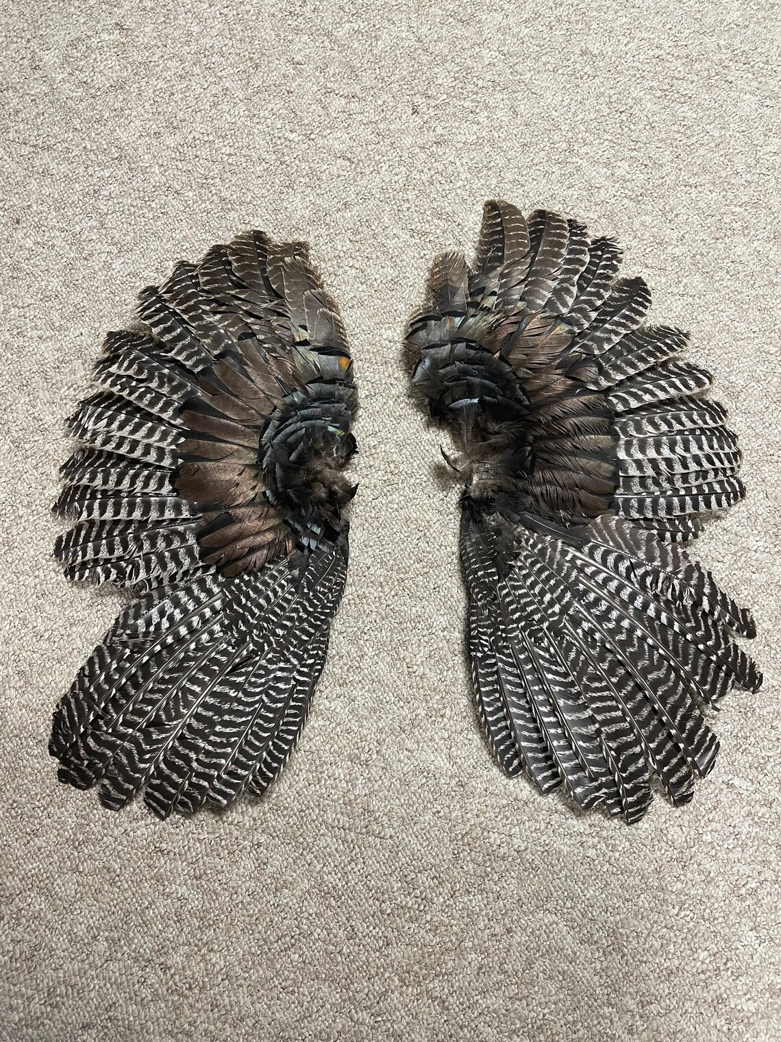 Wild Turkey Wings - Etsy