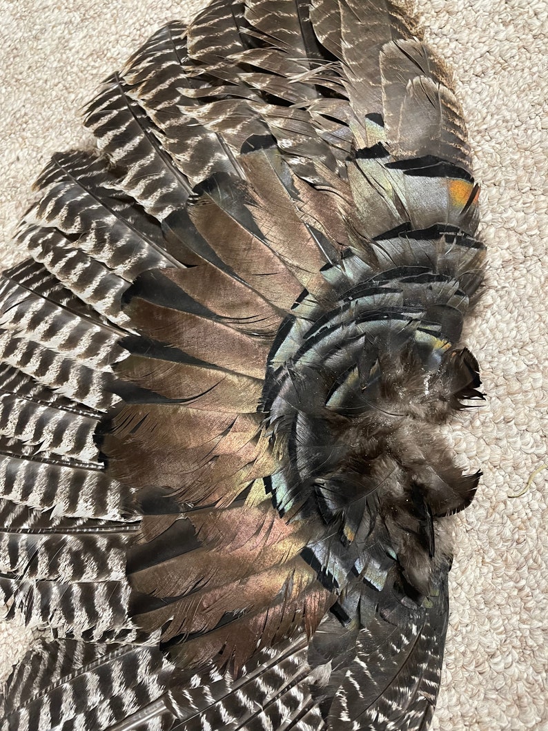 Wild Turkey Wings - Etsy