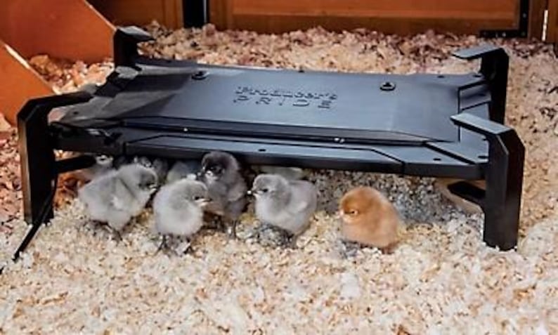 Producer's Pride Chicken Coop Brooder Leg - Etsy