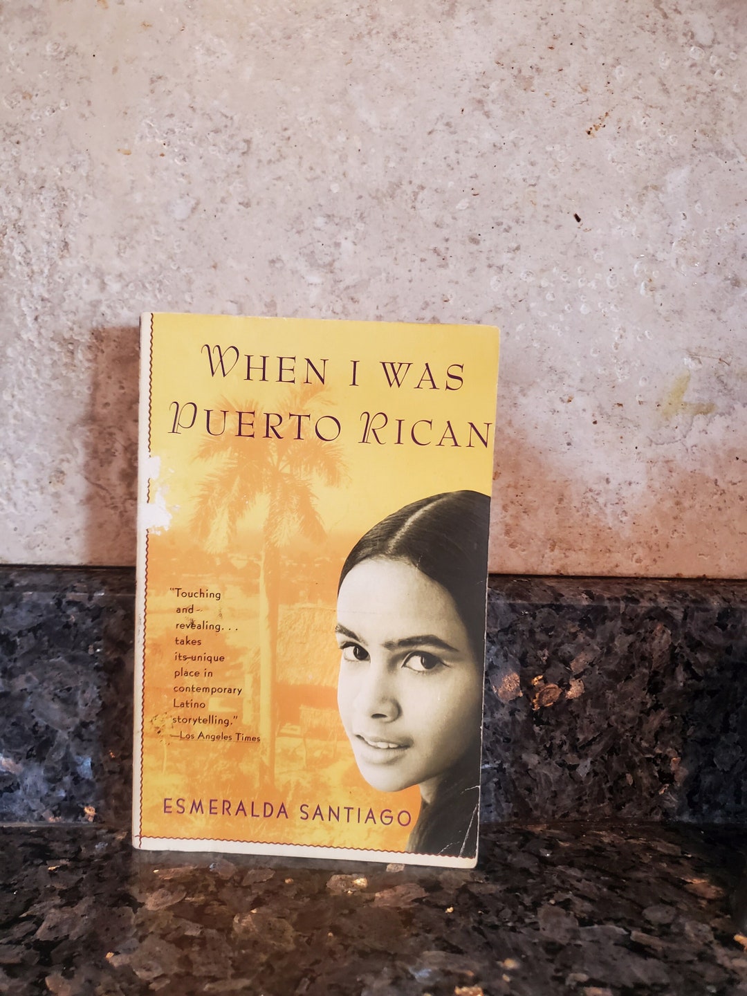 When I Was Puerto Rican, Contemporary Latino Story, Latino Studies ...