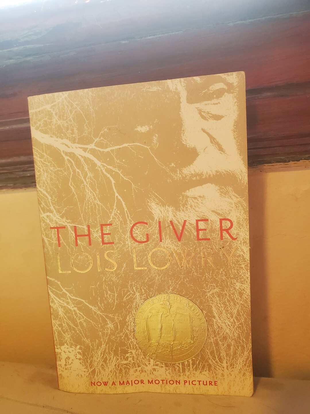 The Giver, Lois Lowry, John Newberry Medal Award, Classic Books, Young ...