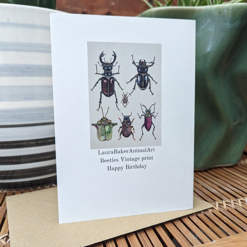 Stag Beetle Birthday Card, Happy Birthday Bug Card, Insect Birthday ...