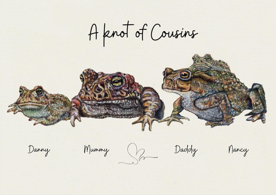 Personalised Toad Family Print, Add Your Family Names, Wildlife Art ...