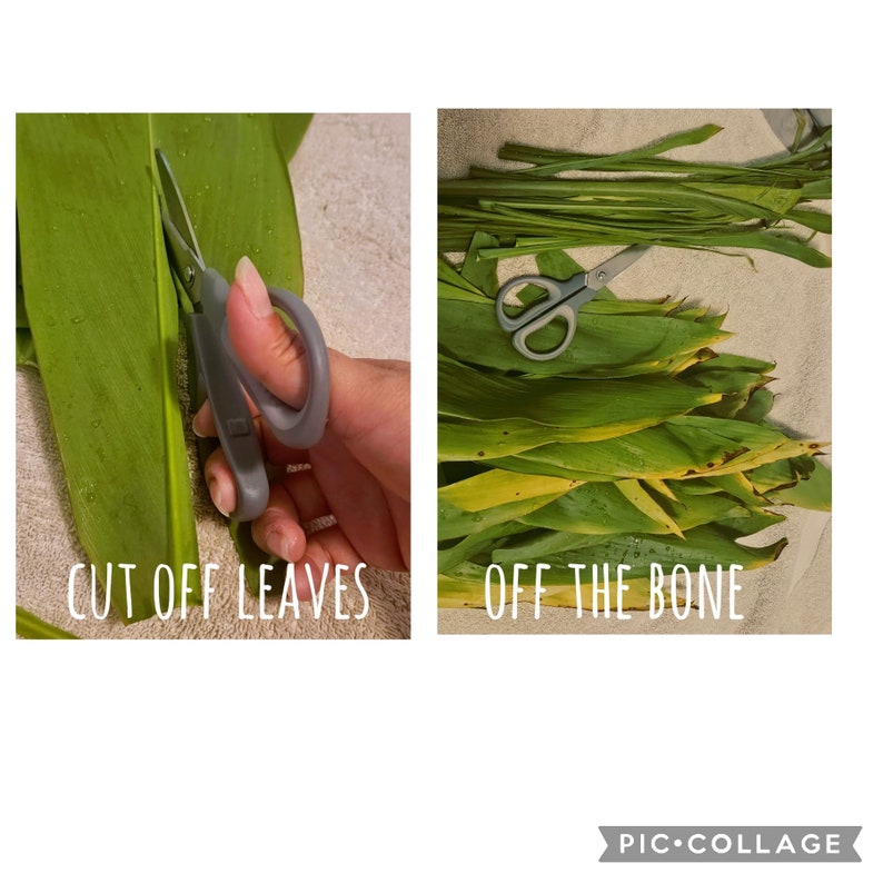 Ti Leaf Lei With Roses - Graduation or Teacher Gift - Etsy