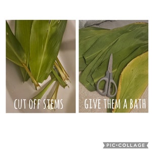 College Graduation Lei High School Graduation Gift Lei for Graduate ...