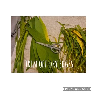 College Graduation Lei High School Graduation Gift Lei for Graduate ...