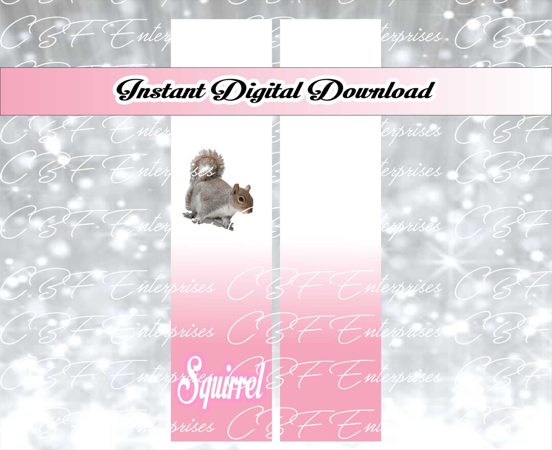 Squirrel Cheer Bow Graphic Digital Download - Etsy