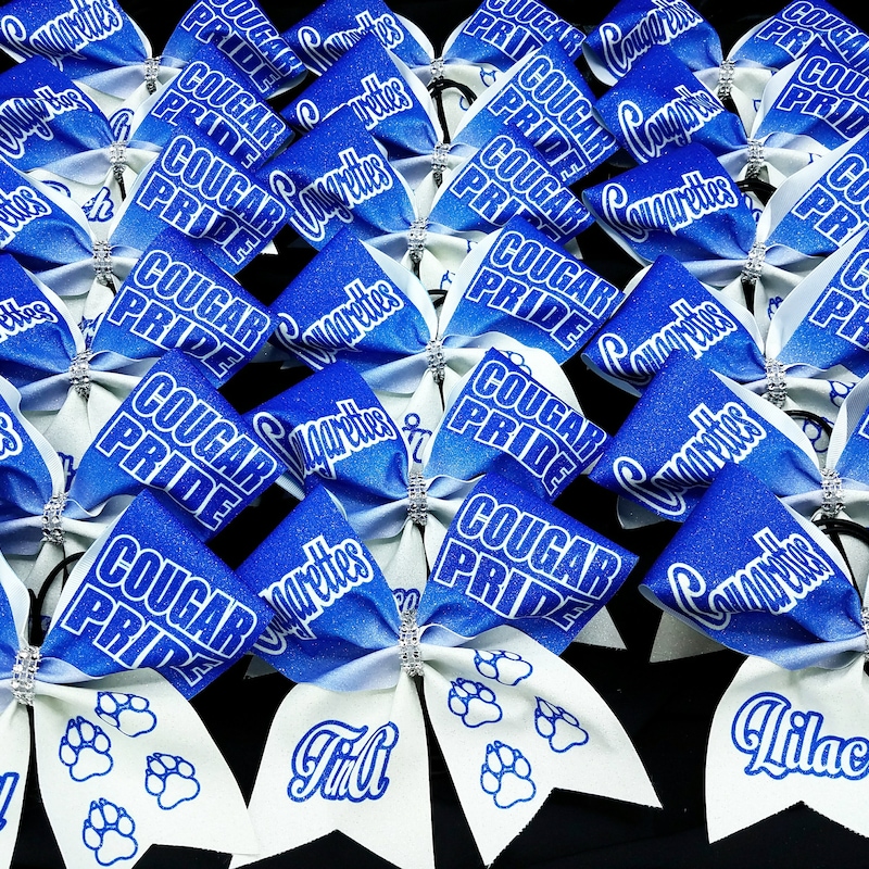 Blue Cheer Bows - Etsy