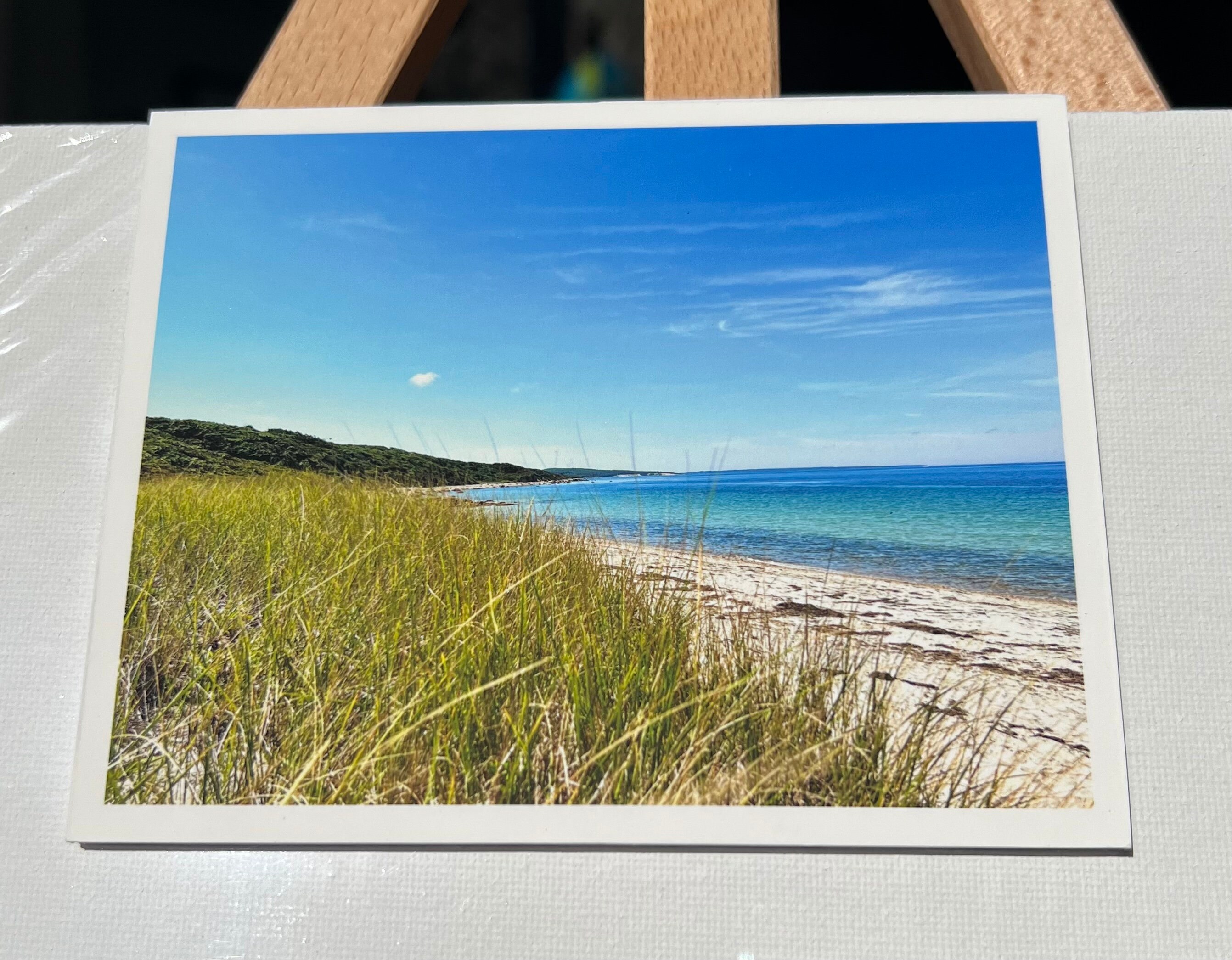 Cedar Tree Neck Beach, Martha’s Vineyard, Wall, Desk Art, 4x5, 8x10 - Etsy