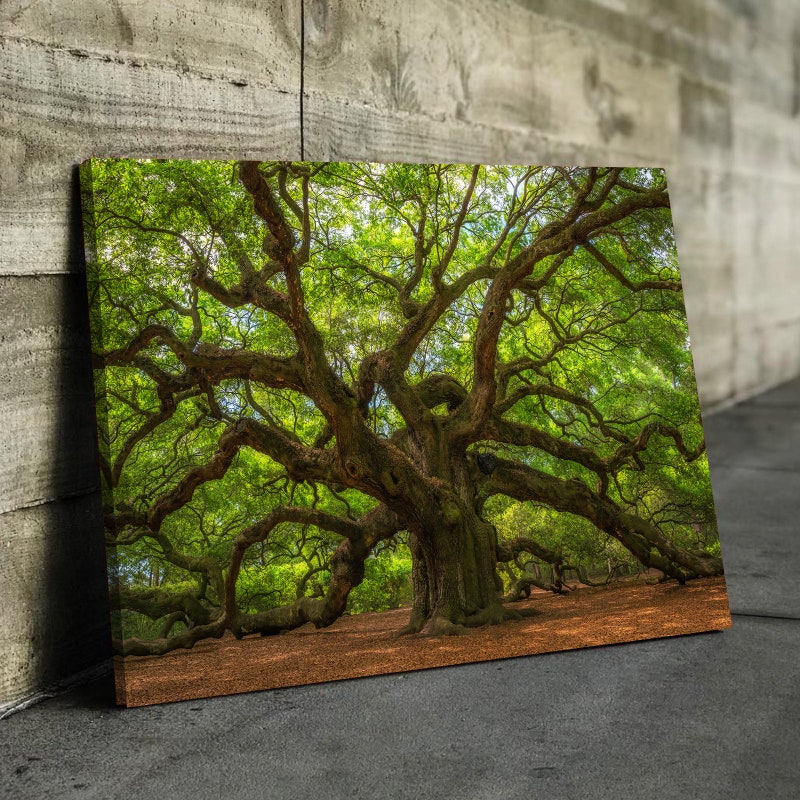 Oak Tree Print - Etsy