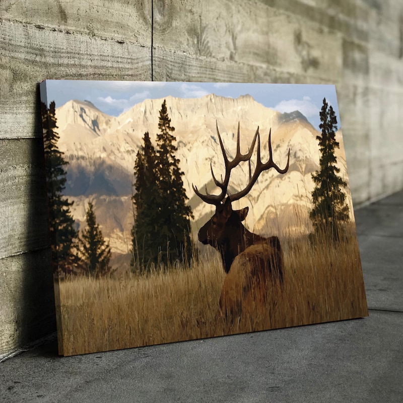 Elk Painting - Etsy